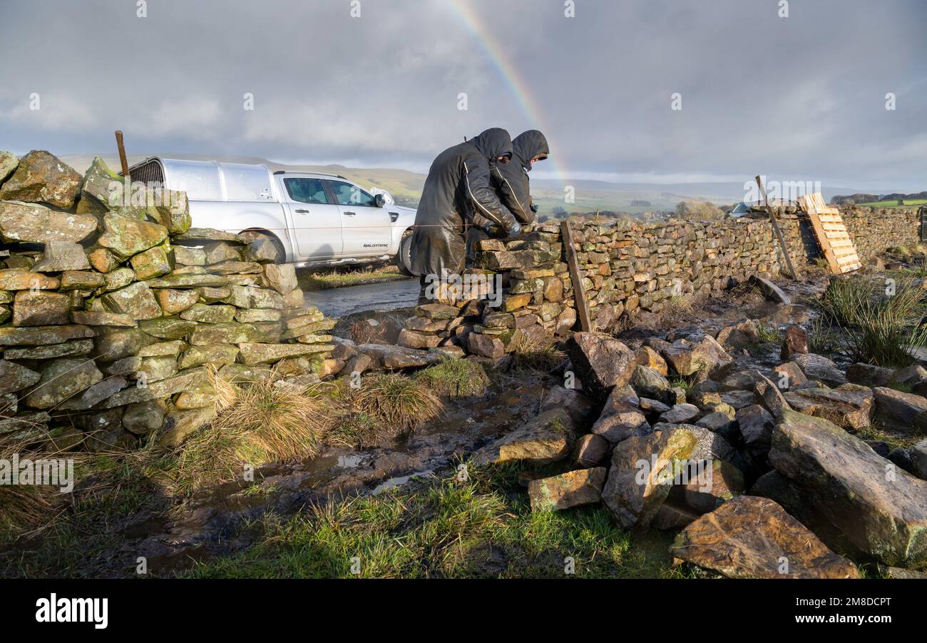 13 January 2023 - Weather - North Yorkshire - Drystone wallers renewing ...