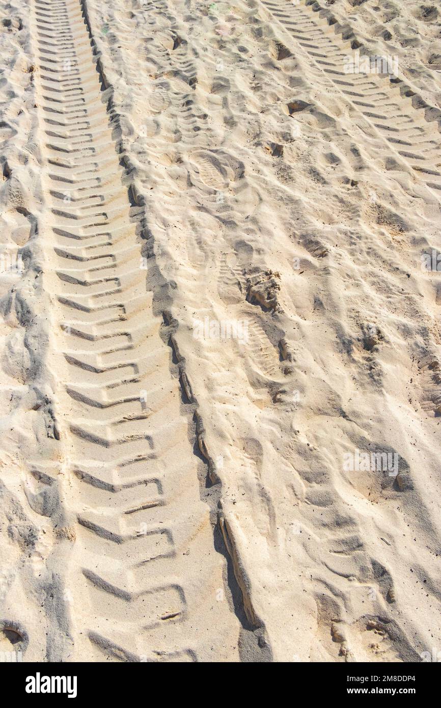 Ruts of an excavator in the beach sand in Playa del Carmen Quintana Roo ...