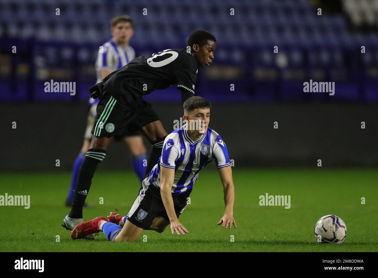 Sheffield, UK. 13th Jan, 2023. Rio Shipston #8 of Sheffield Wednesday ...