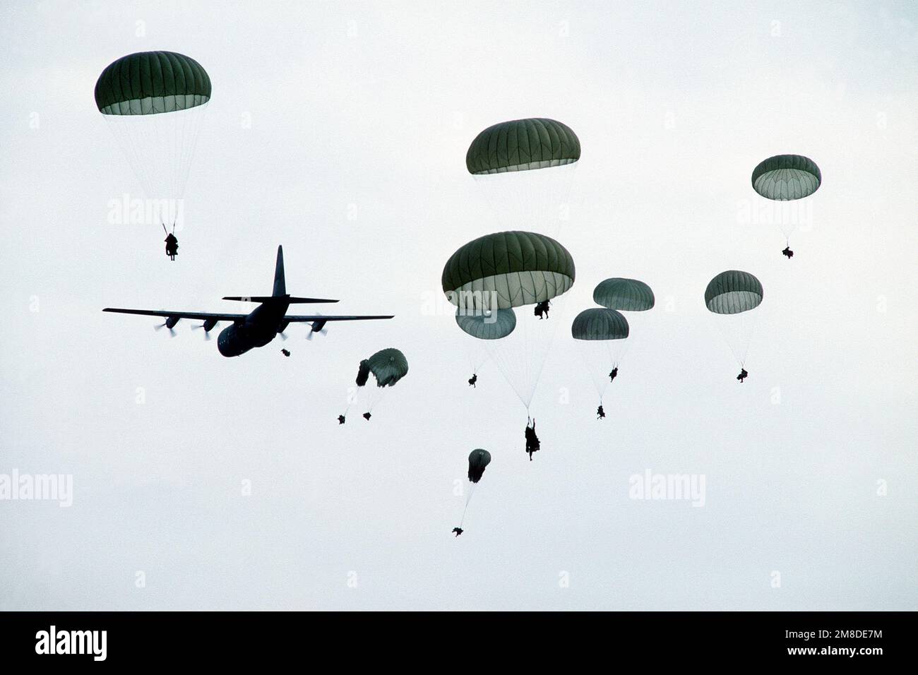 Paratroopers of the 3rd Battalion, 325th Infantry jump from a C-130 ...