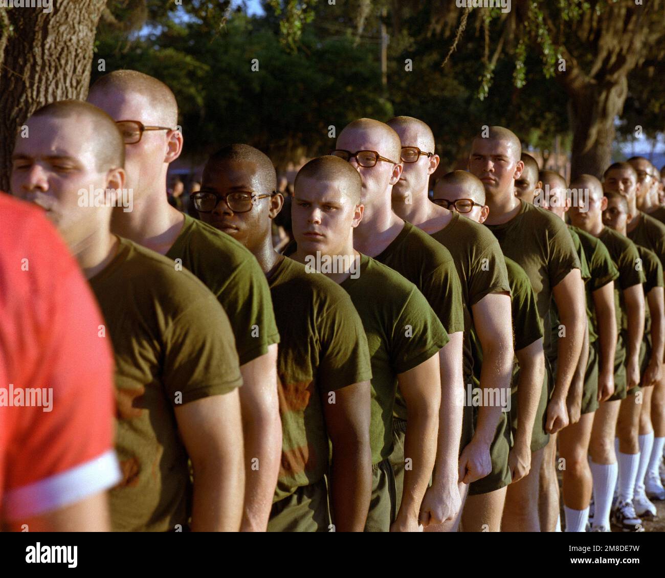 First Battalion recruits stand in line in preparation for a physical ...