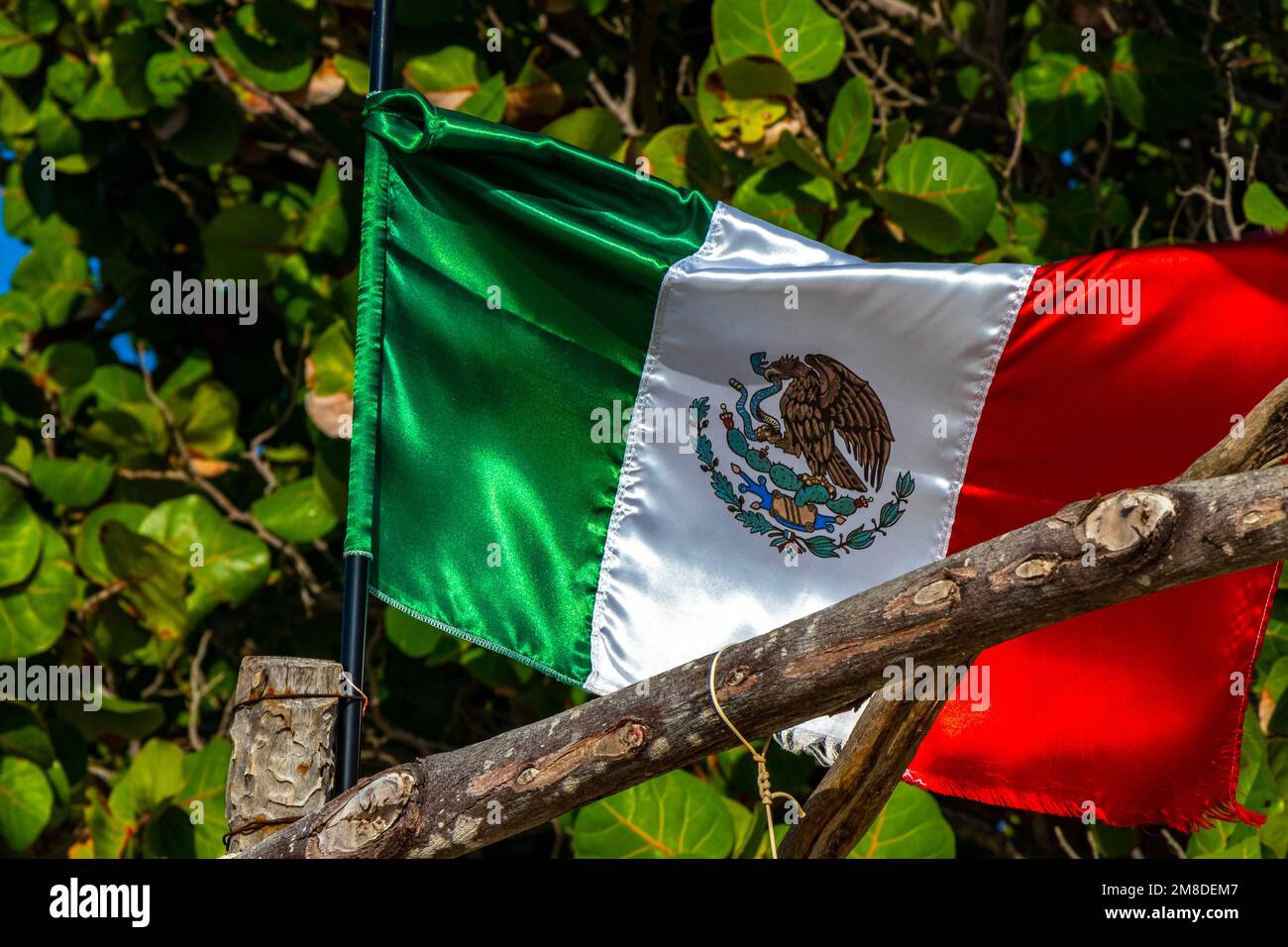 Mexican green white red flag with blue sky and palm trees in Playa del ...
