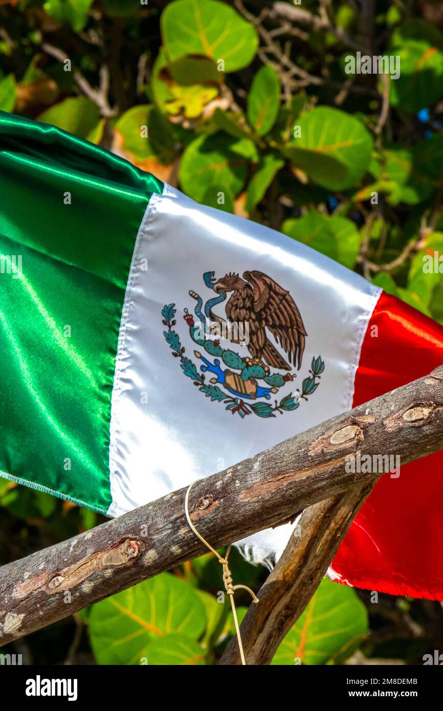 Mexican green white red flag with blue sky and palm trees in Playa del ...