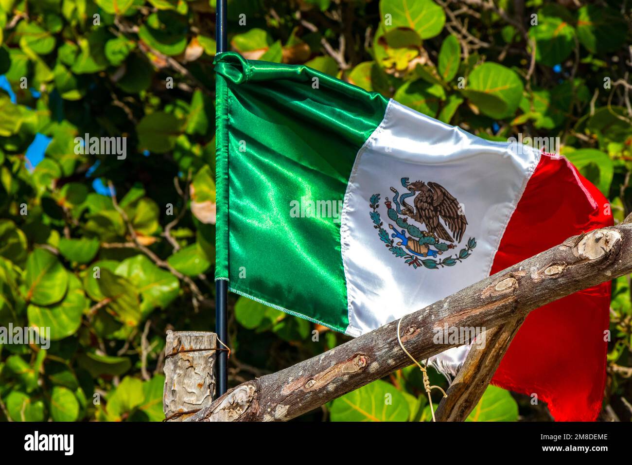 Mexican green white red flag with blue sky and palm trees in Playa del ...