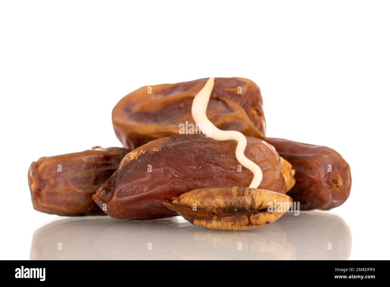 Sprouted date stone and three dry dates, macro, isolated on white ...