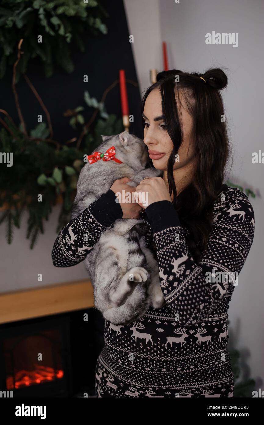 Beautiful gray cat in the arms of a woman Stock Photo - Alamy