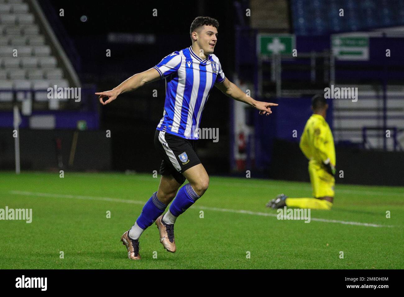 Bailey tye cadamarteri hi-res stock photography and images - Alamy