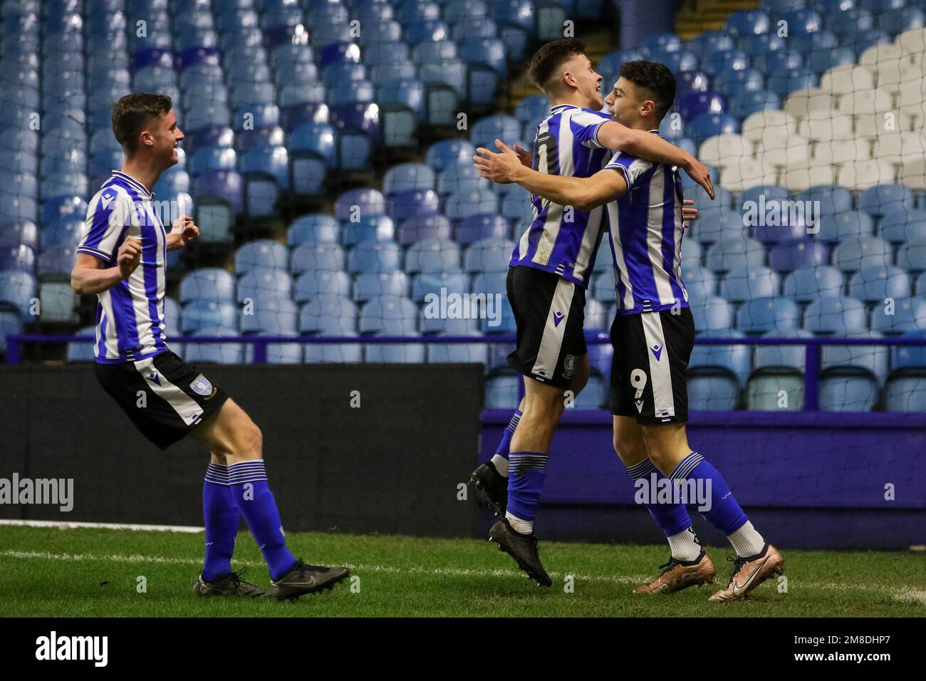 Sheffield, UK. 13th Jan, 2023. Bailey-Tye Cadamarteri #9 of Sheffield ...