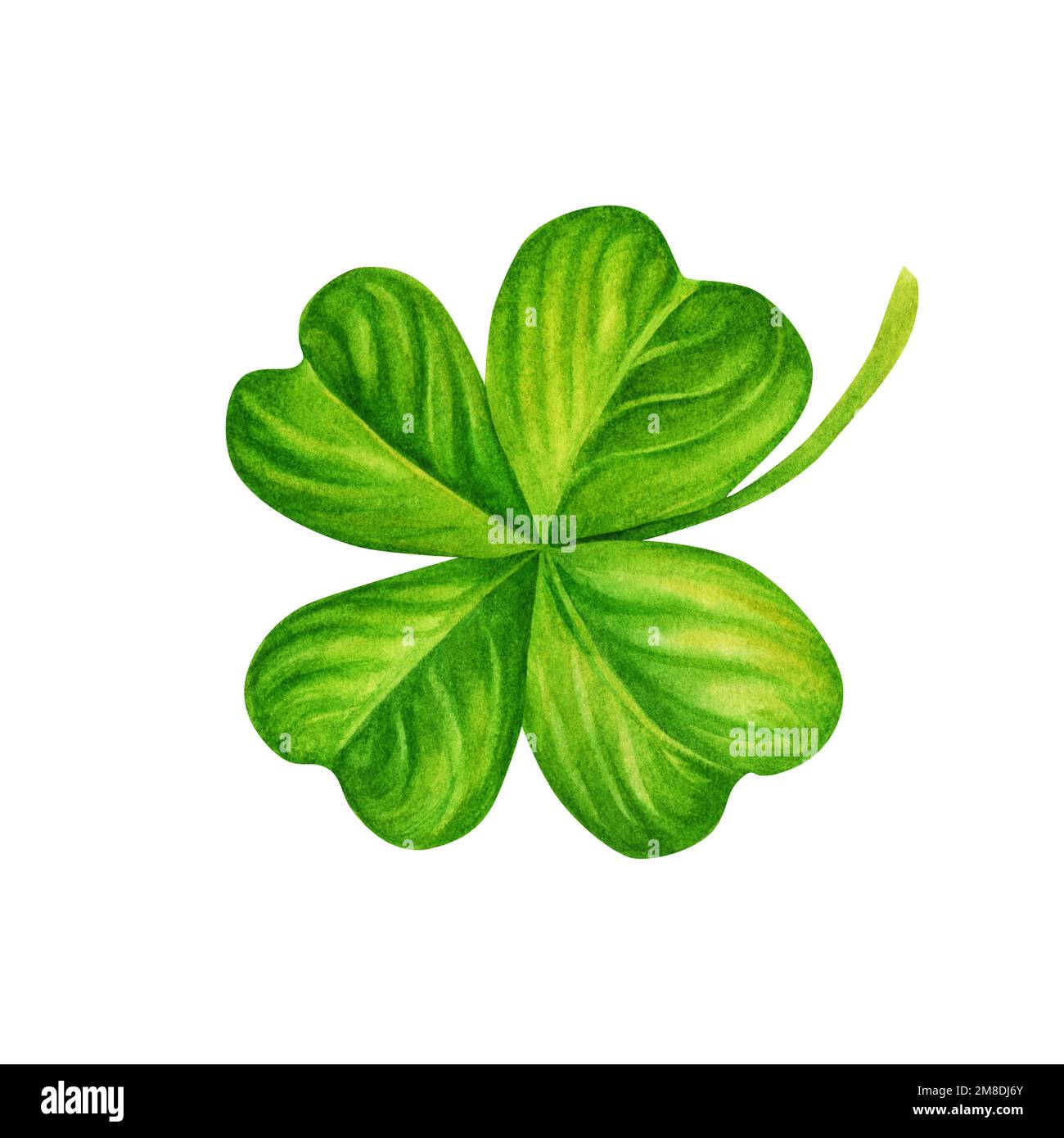 Watercolor hand drawn four leaf clover for St. Patrick's Day for good ...