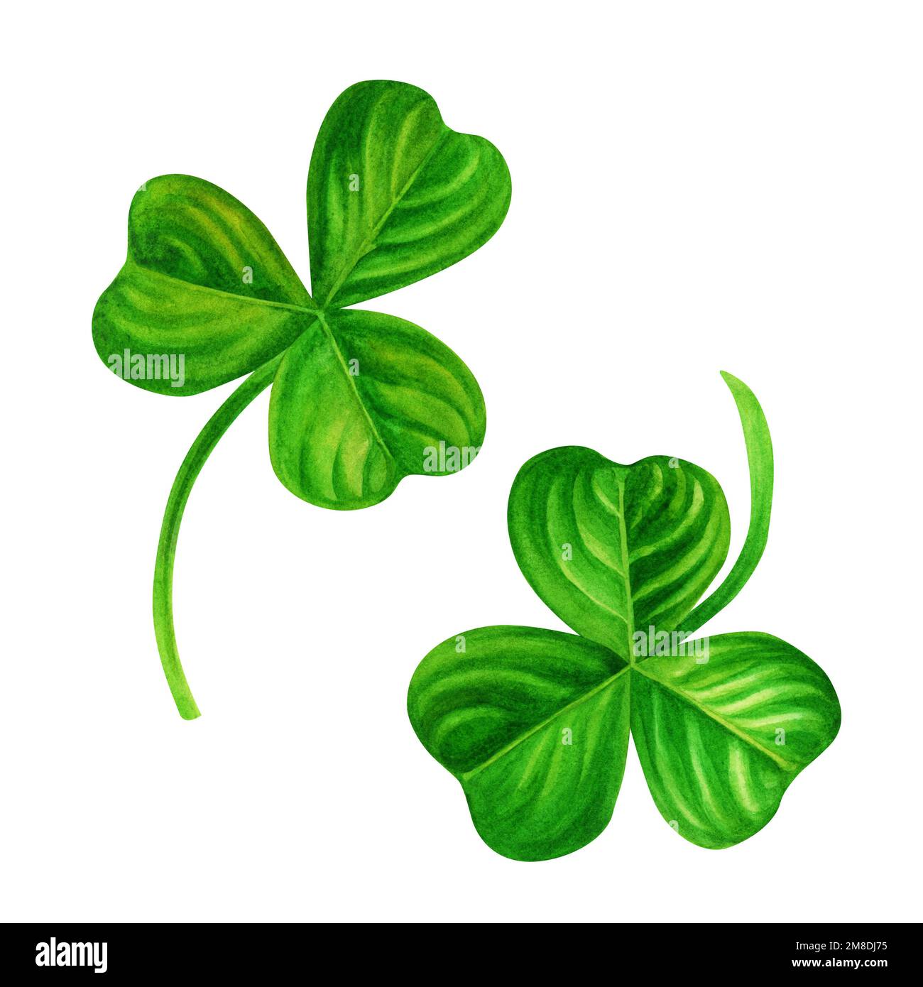 Watercolor hand drawn shamrock set for St. Patrick's Day for good luck ...