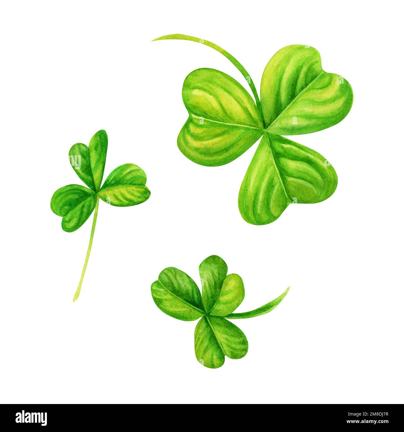 Watercolor hand drawn shamrock set for St. Patrick's Day for good luck ...