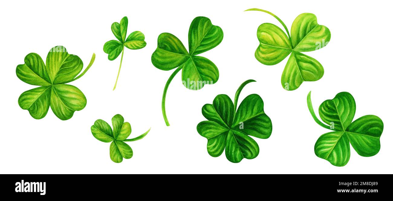 Watercolor hand drawn four leaf clover and shamrock set for St. Patrick ...