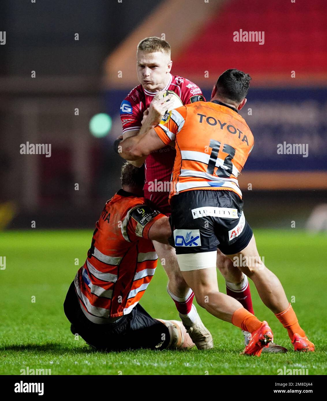 Toyota cheetahs hi-res stock photography and images - Alamy