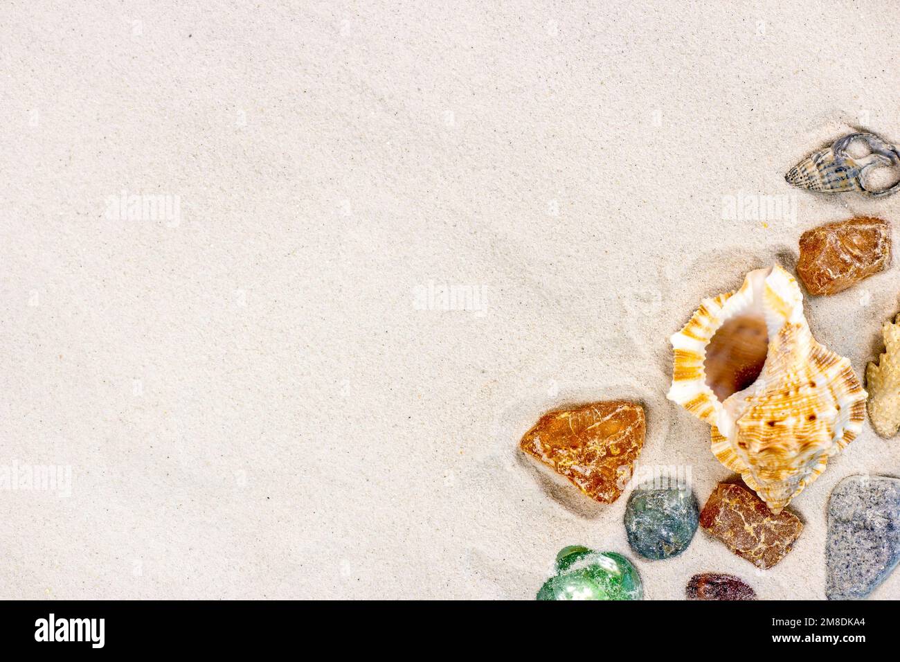 Yellow sandy textured background with bright seashells and stones as a ...