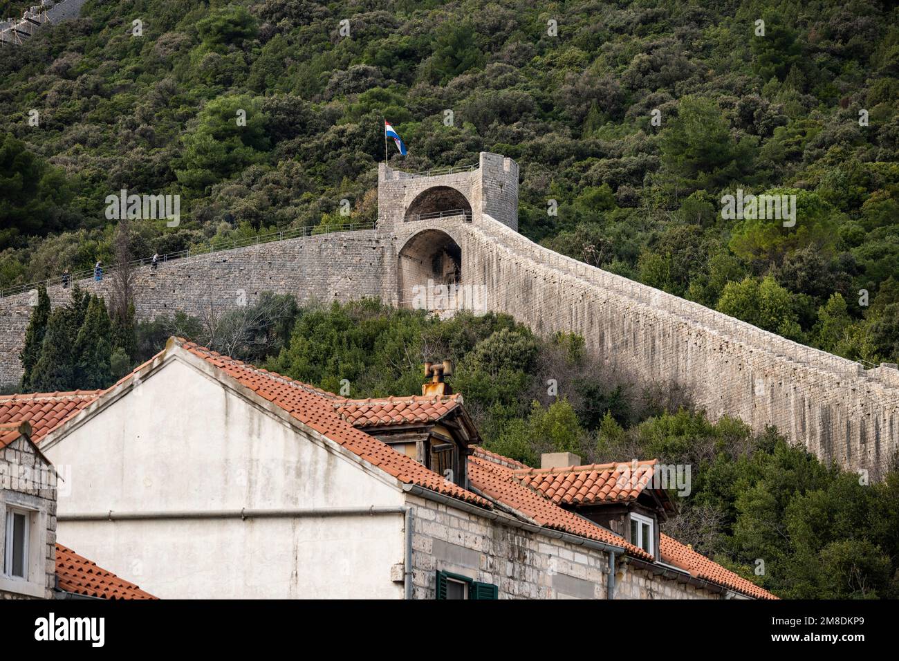 Long, fortified walls of Ston, famous defensive, medieval structure on ...