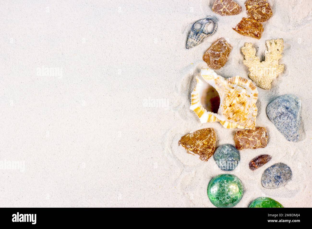 Yellow sandy textured background with bright seashells and stones as a ...