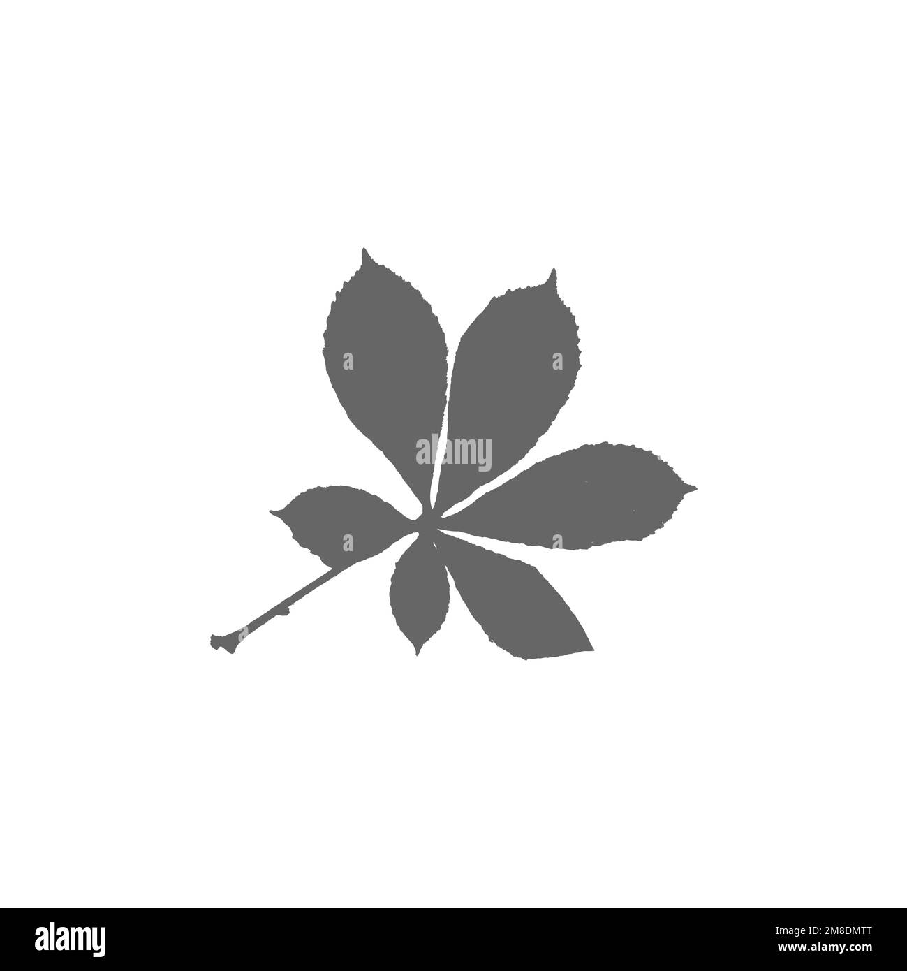 Leaf icons, common graphic resources, vector illustrations Stock Vector ...