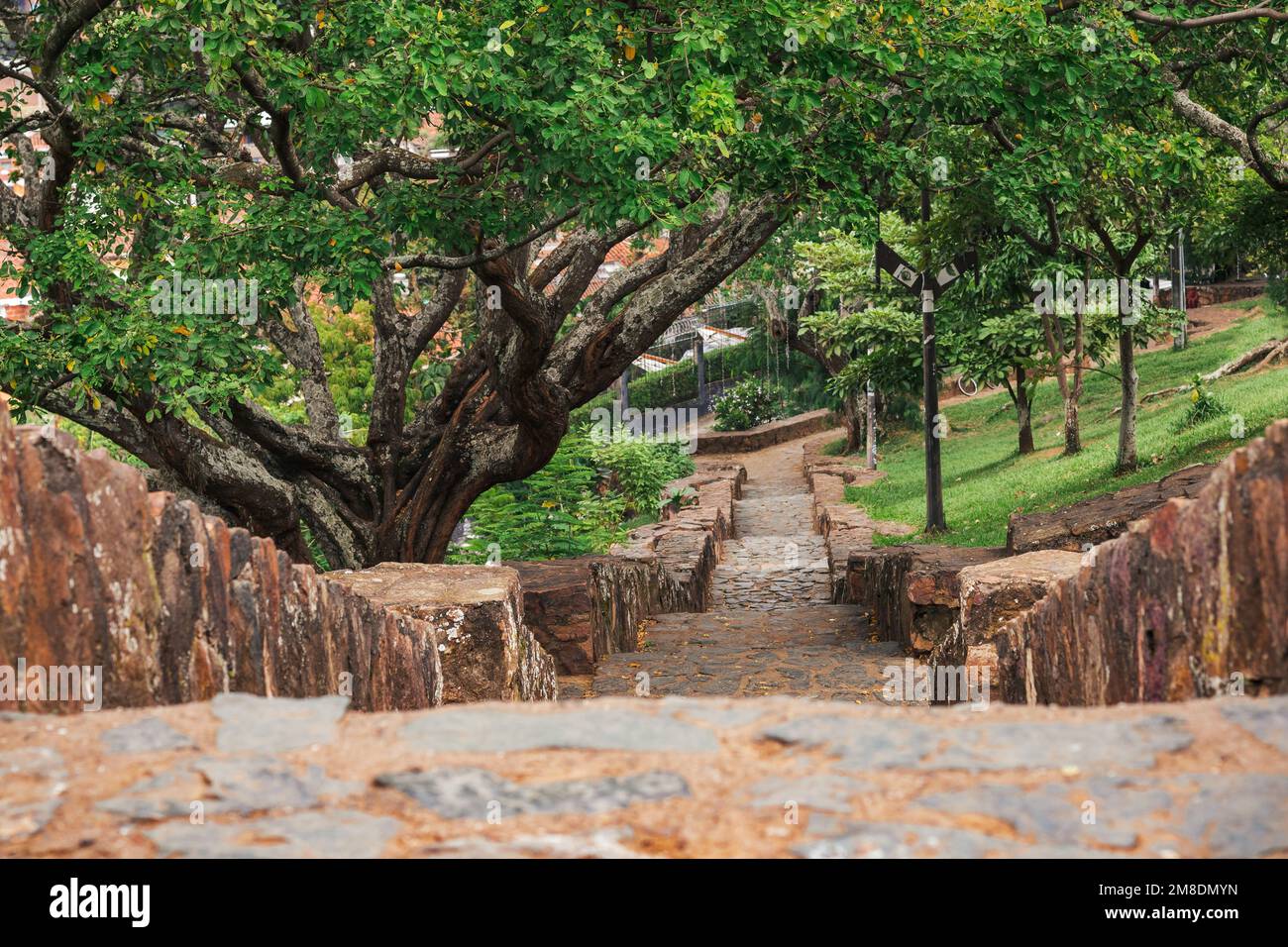 The long stone steps in San Antonio Park, Cali Stock Photo - Alamy