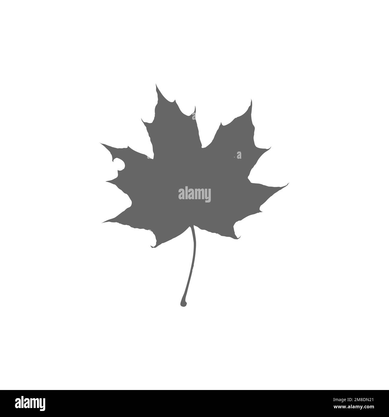 Platanus orientalis Linn leaf icon, common graphic resources, vector ...