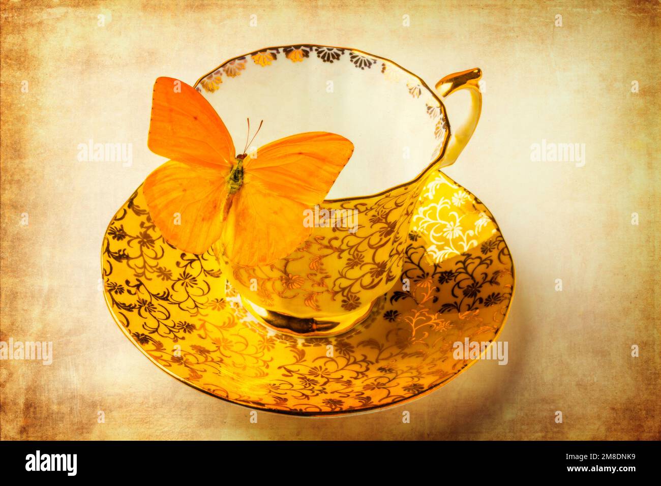 Yellow butterfly on tea hi-res stock photography and images - Alamy