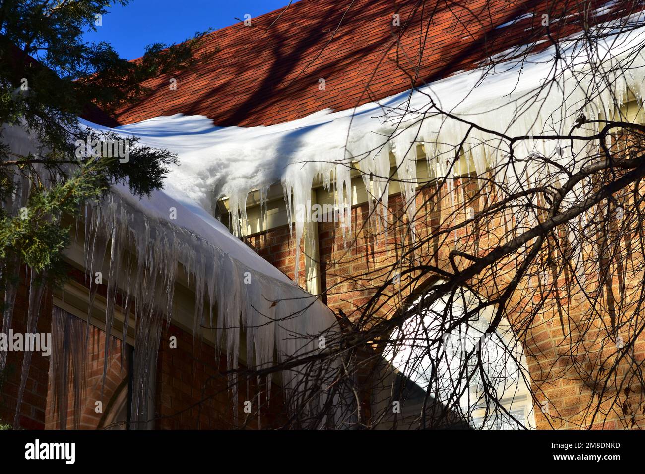 Melting snow on roof creating ice dam in gutter and icicles pulling ...
