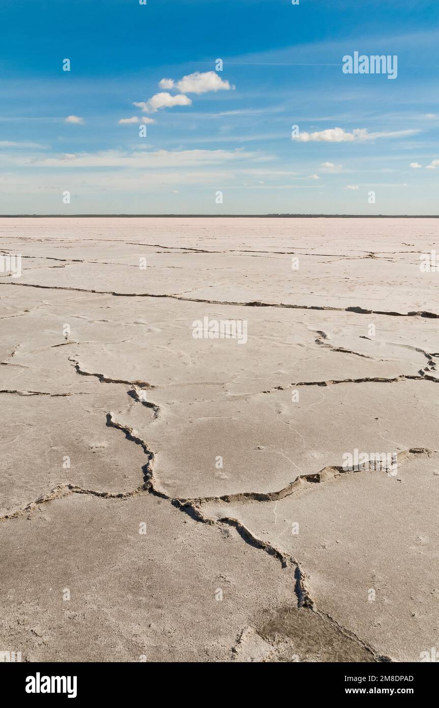 Salt lagoon,Dunaliella salina coloration, La Pampa, Argentina Stock ...