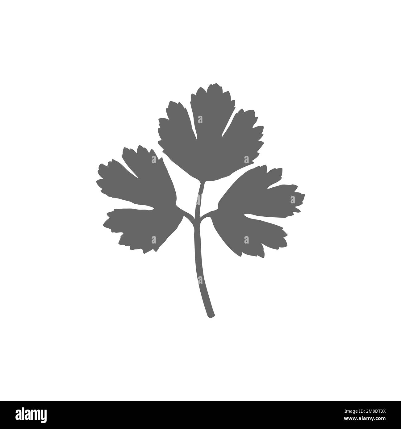 Celery Leaf Icon Common Graphic Resources Vector Illustration Stock Vector Image And Art Alamy