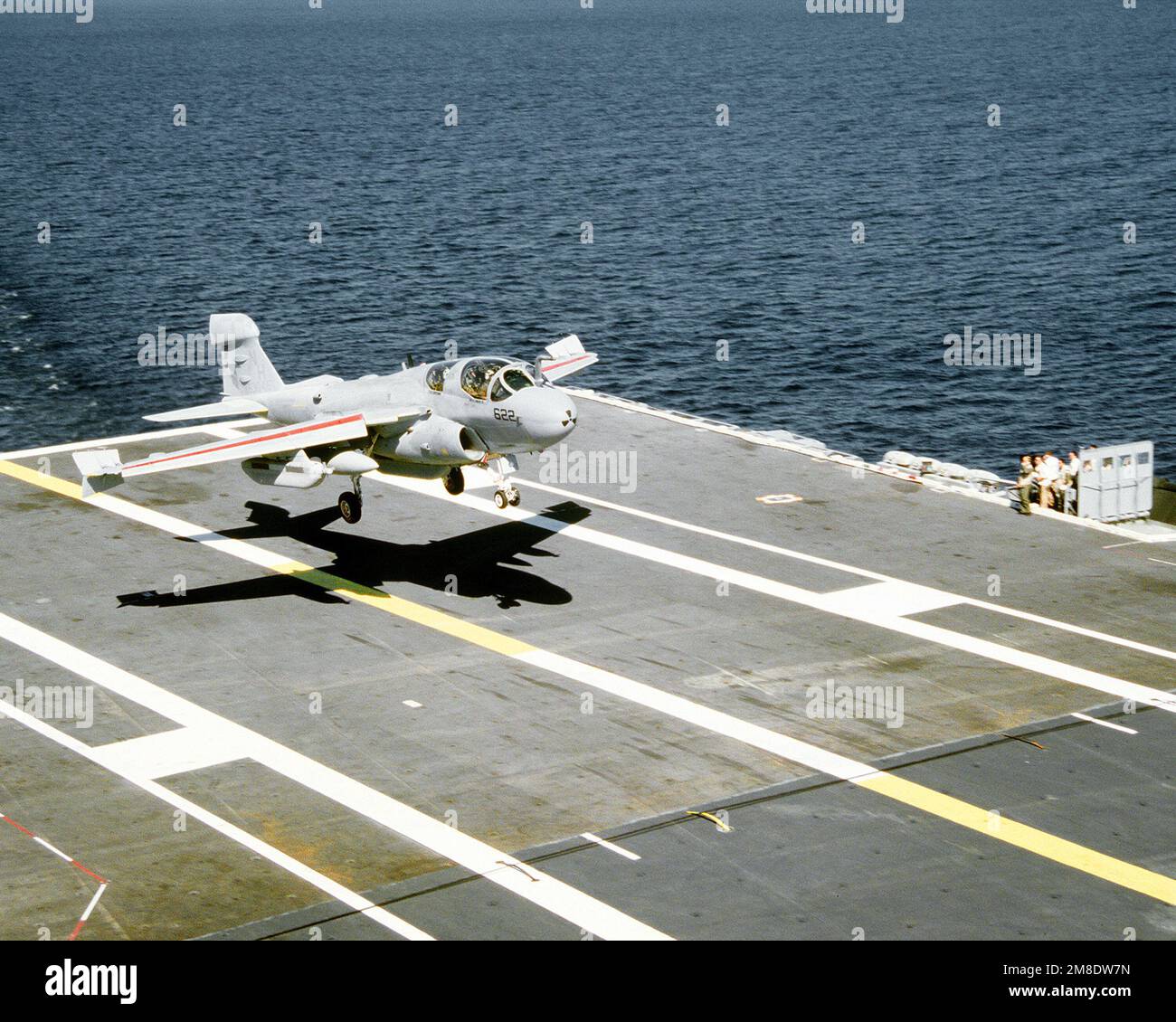 A Tactical Electronic Warfare Squadron 135 (VAQ-135) EA-6B Prowler ...