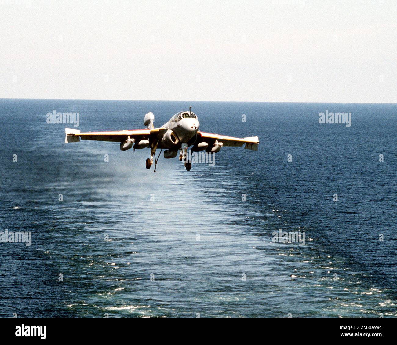 A Tactical Electronic Warfare Squadron 135 (VAQ-135) EA-6B Prowler ...