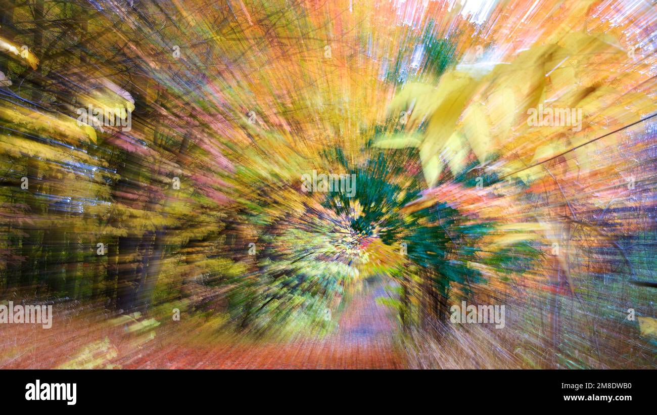 Abstract natural background concept. Autumn landscape background with a ...