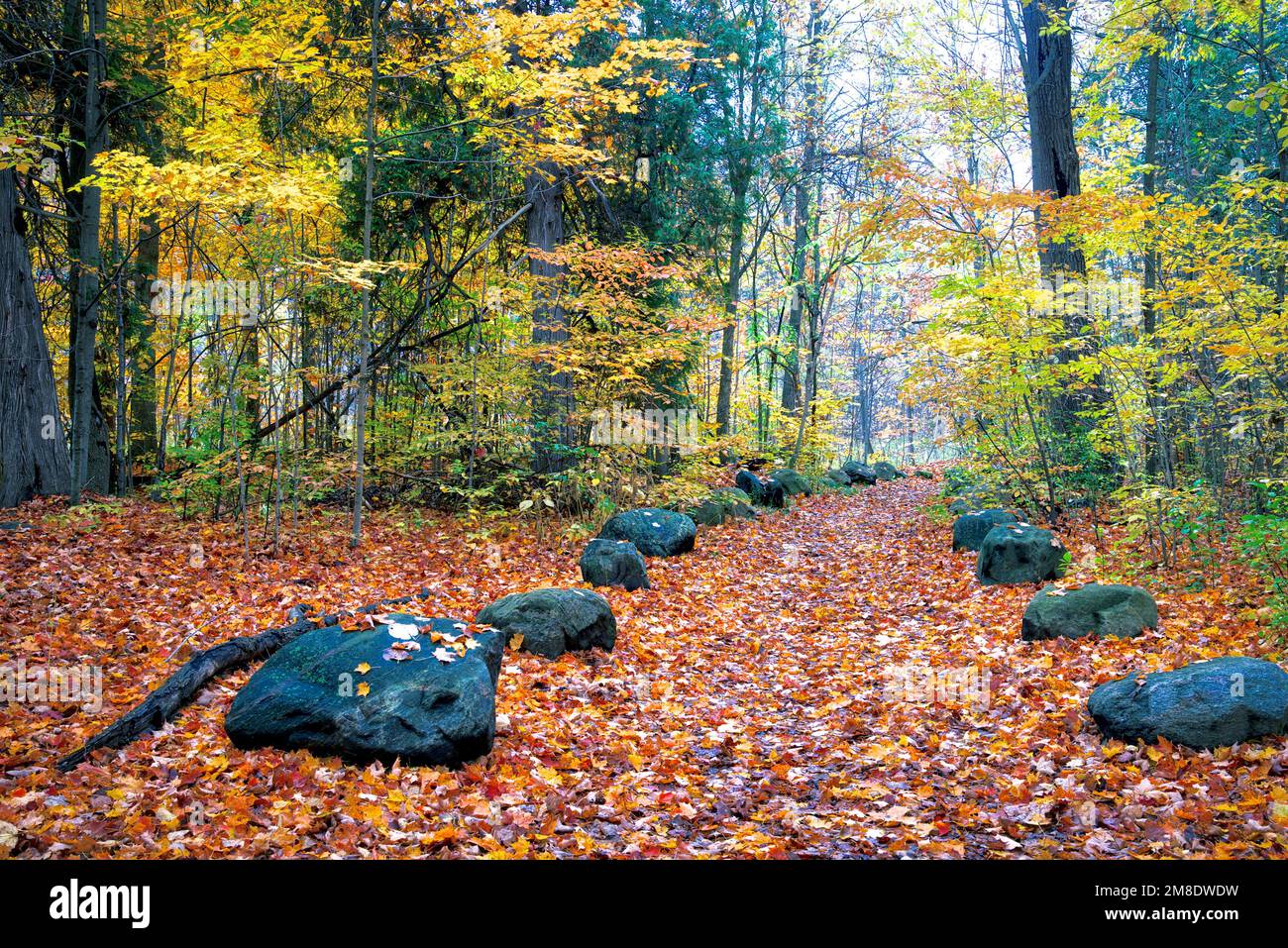 Object falling hi-res stock photography and images - Alamy