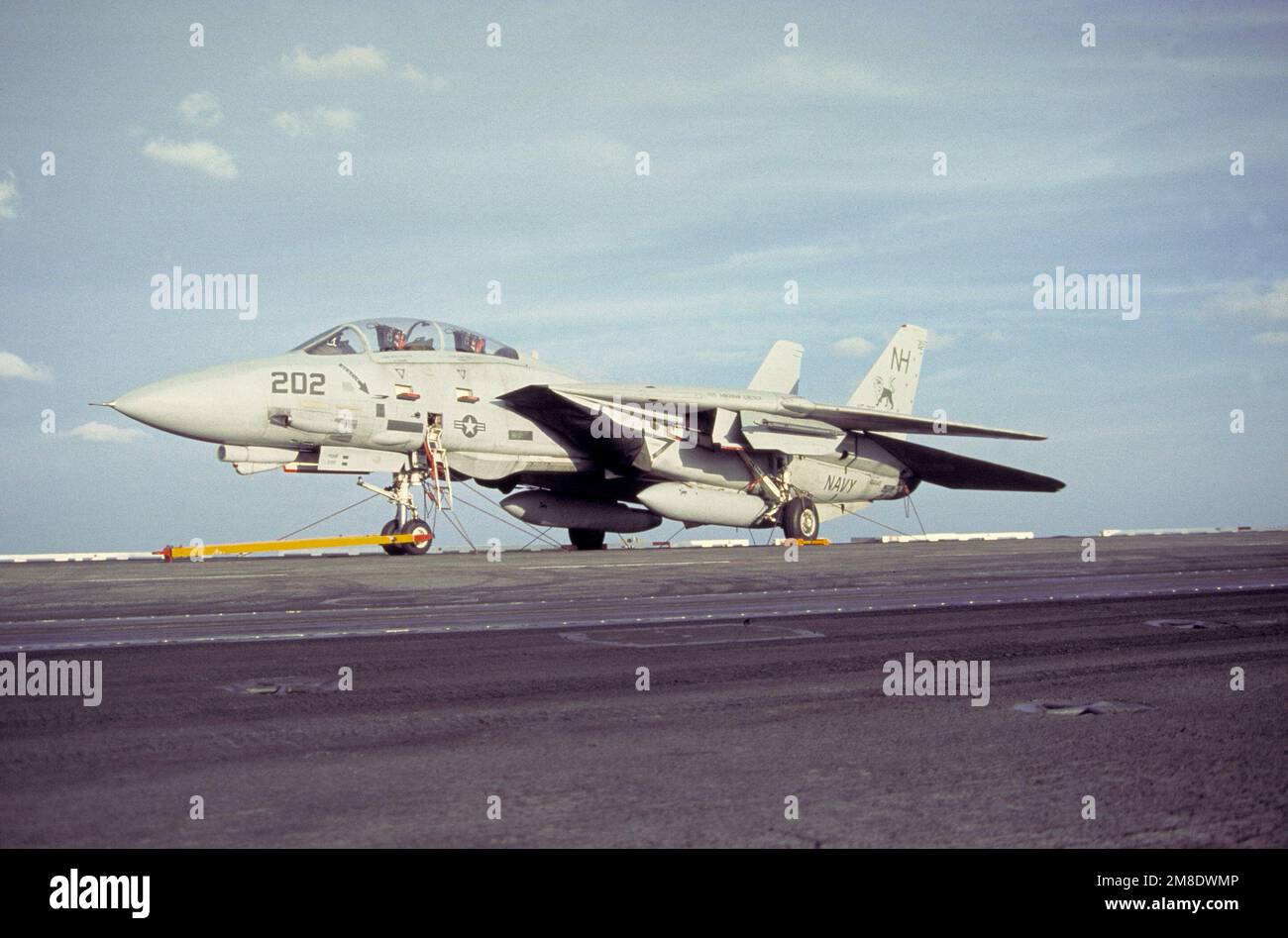 A Fighter Squadron 213 (VF-213) F-14A Tomcat aircraft sits on the ...