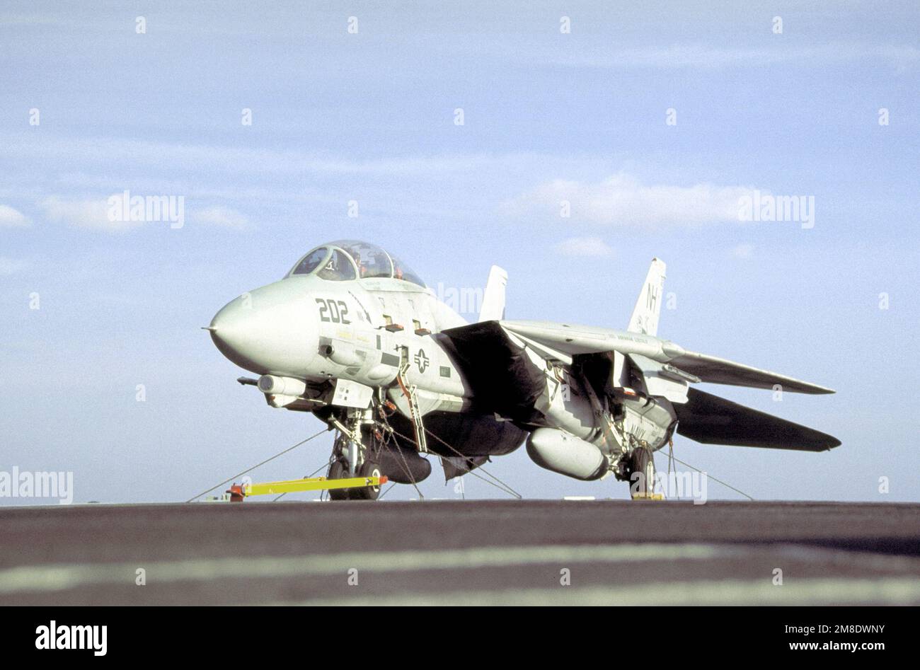 A Fighter Squadron 213 (VF-213) F-14A Tomcat aircraft sits on the ...