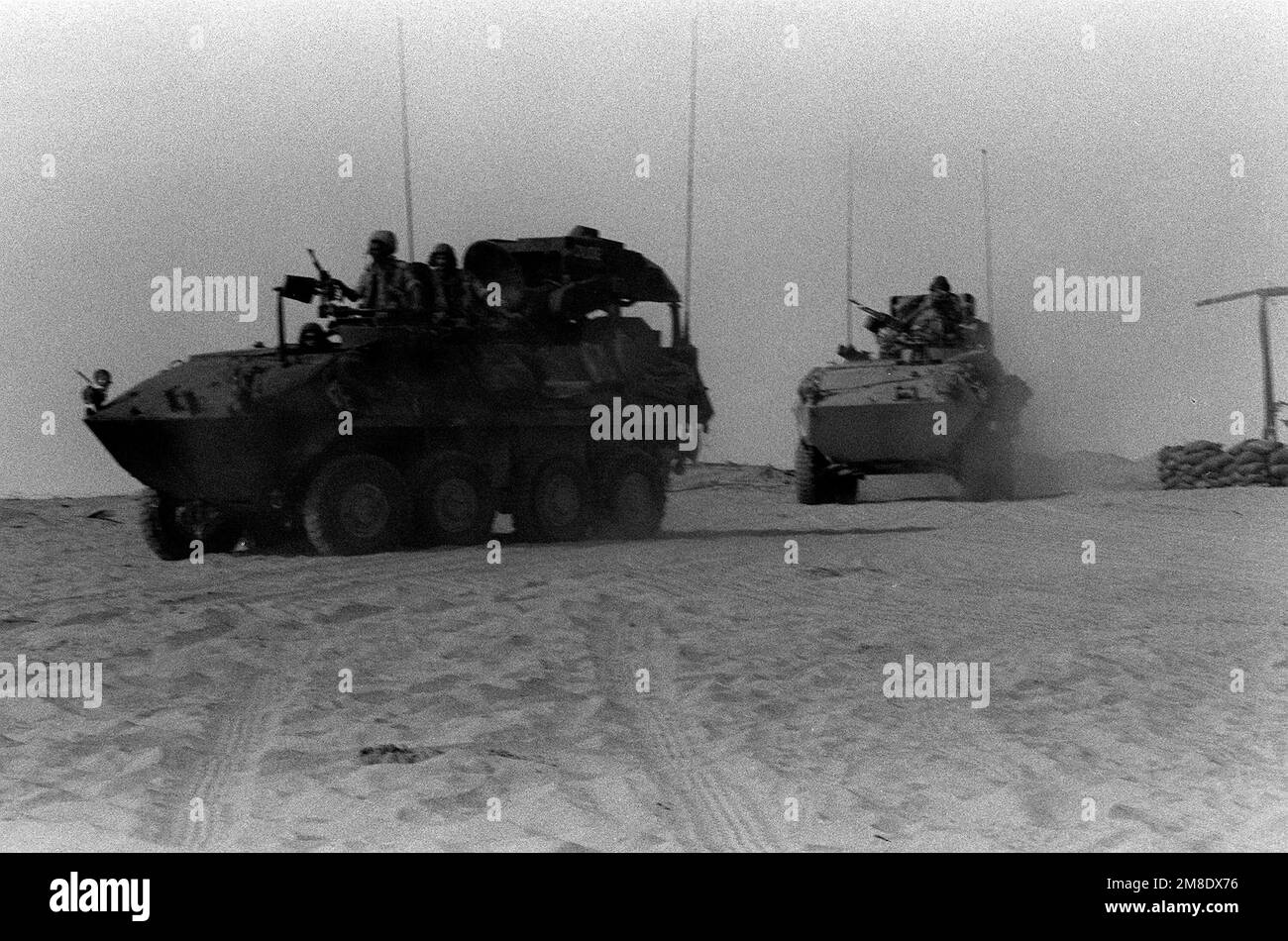 Two LAV-AT light armored anti-tank vehicles from the 1ST Light Armored ...