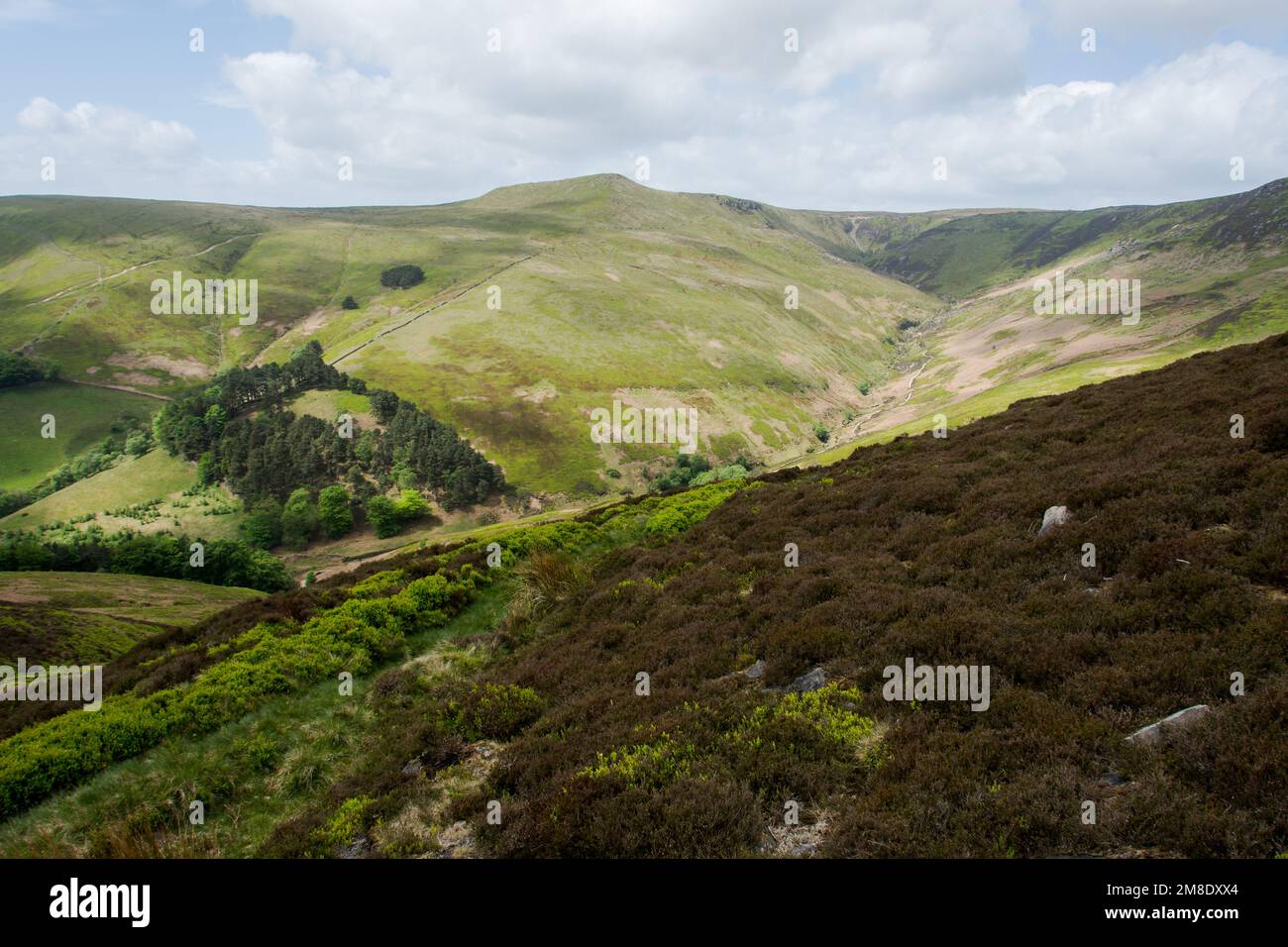 Kinder Scout from near Ringing Roger, Edale - The Peak District ...