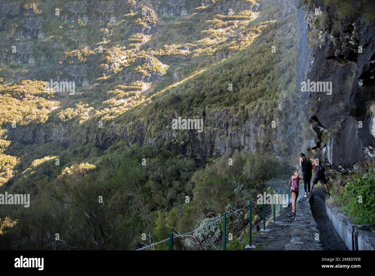 Madeira people hi-res stock photography and images - Alamy