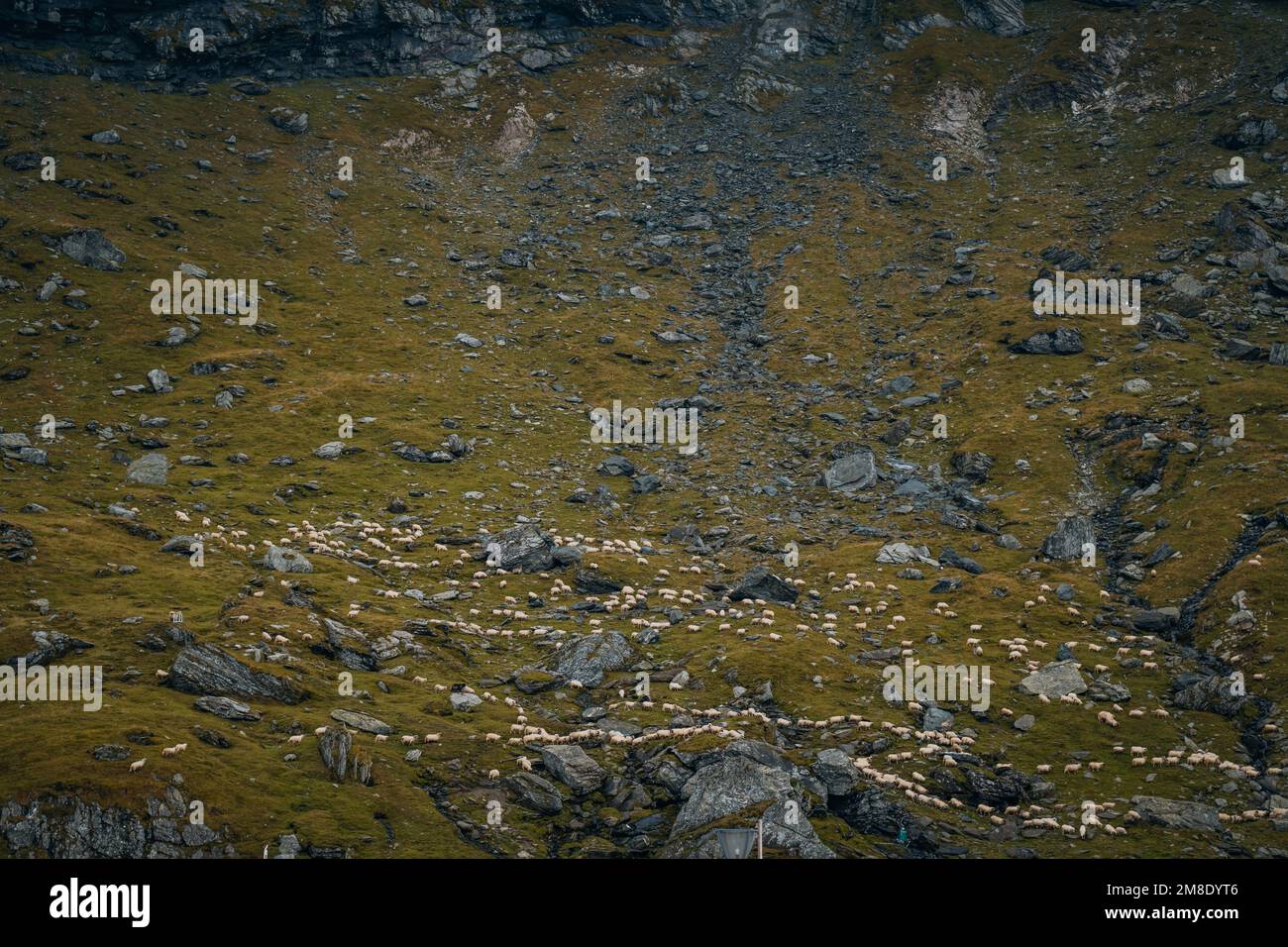The mountain landscape field at daytime Stock Photo - Alamy