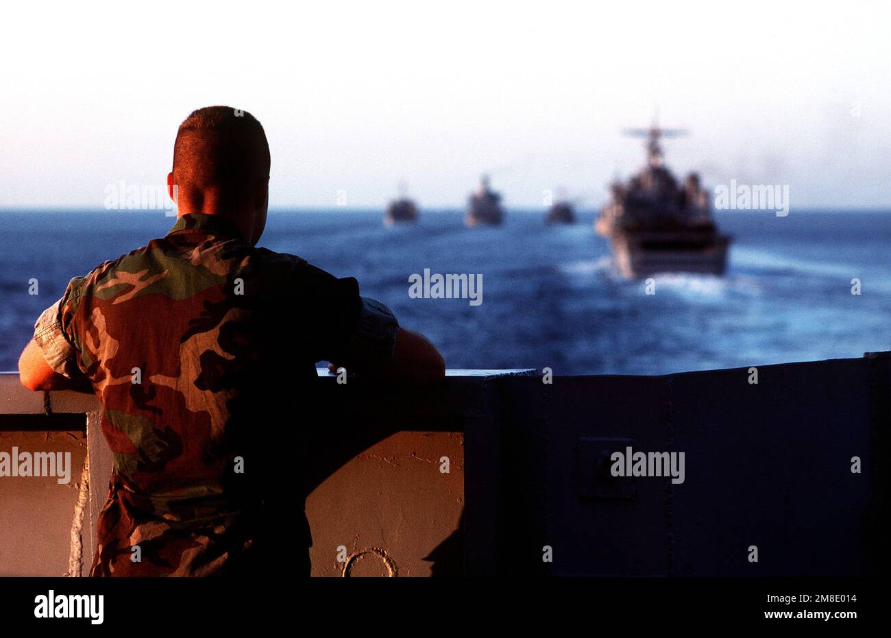 A Marine aboard the amphibious transport dock USS RALEIGH (LPD-1 ...