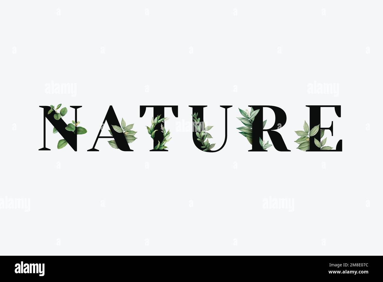 Botanical NATURE vector word typography Stock Vector Image & Art - Alamy