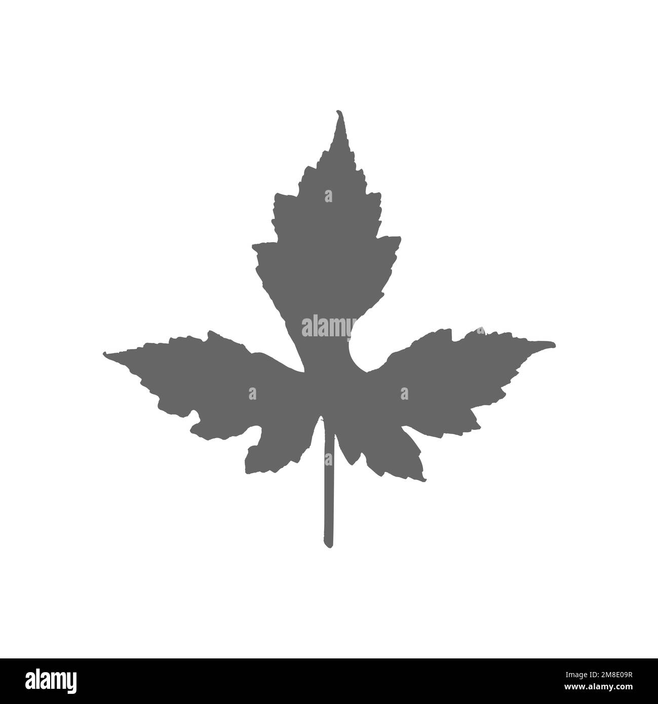Maple leaf icon, common graphic resources, vector illustration Stock ...
