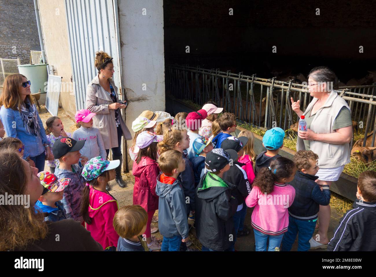 School children farm animals hi-res stock photography and images - Alamy