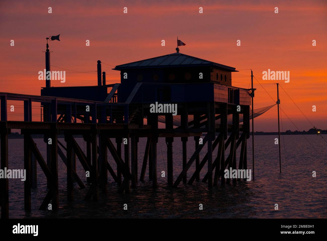France, Charente-Maritime (17), South of La Rochelle, Aytre, plaice ...