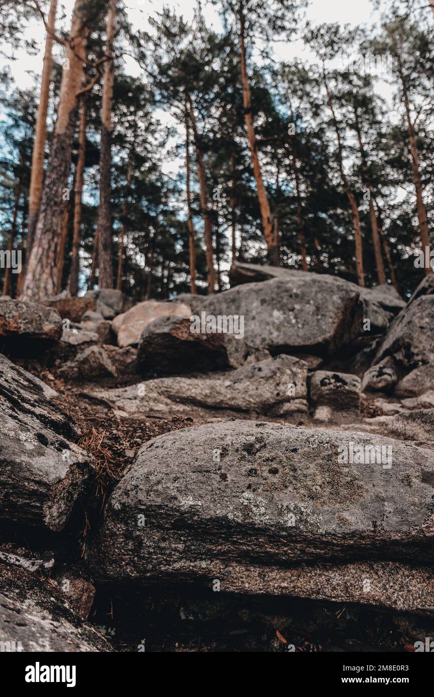 Rocky nature in the forest Stock Photo - Alamy