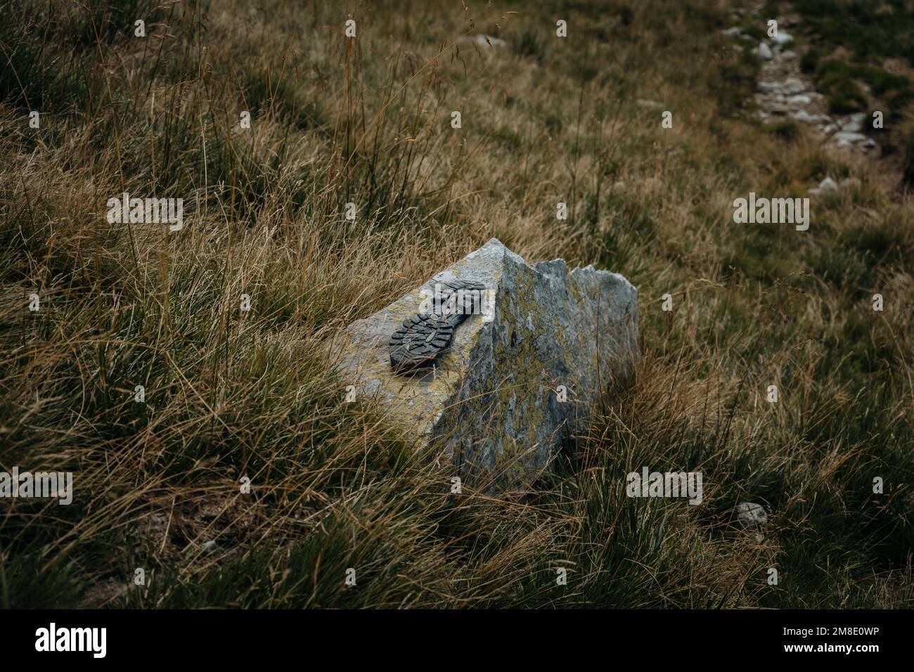 An upside down shoe on a stone in grassland Stock Photo - Alamy