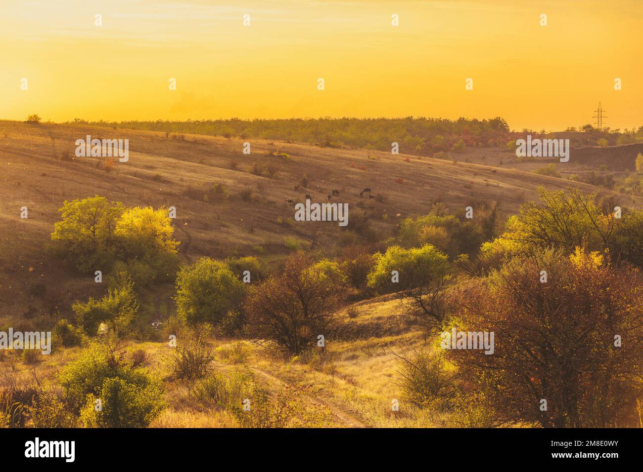 Ukrainian bright autumn landscape highlighted by sun. Rural scenery at ...