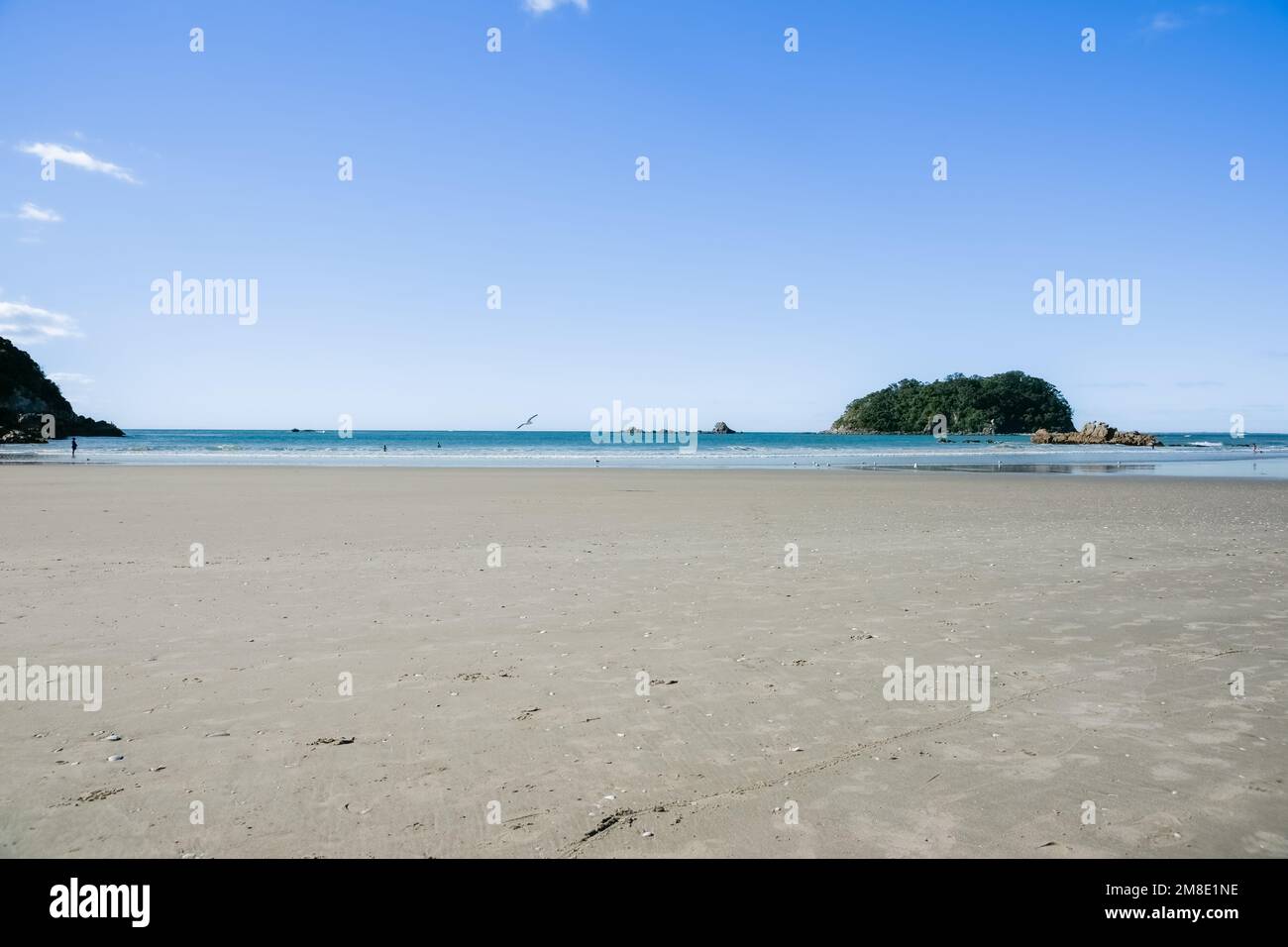 Mount Maunganui Main Beach in summer as a background image Stock Photo ...