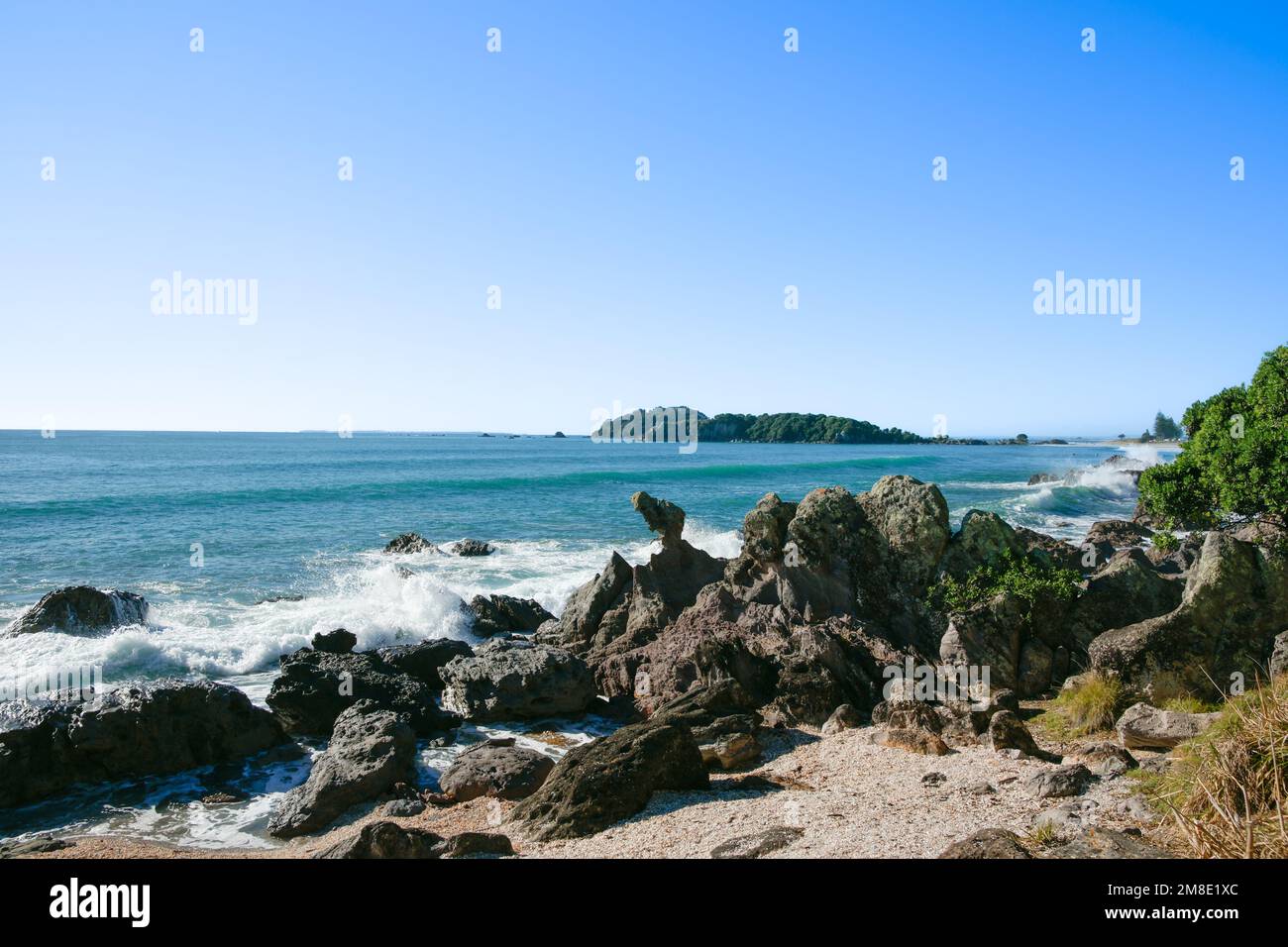 Moturiki island new zealand hi-res stock photography and images - Alamy