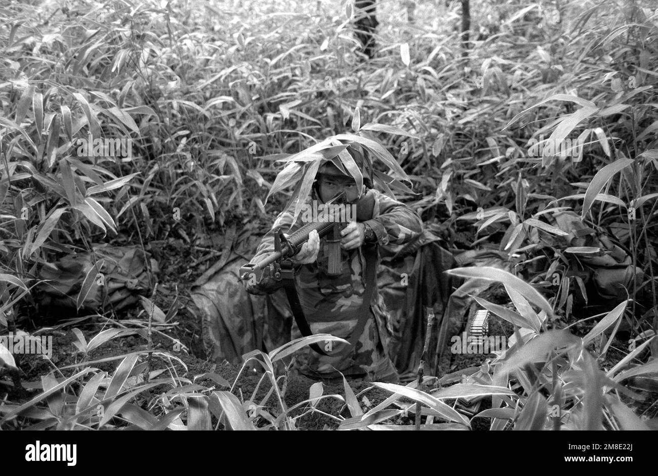 Marine attachment Black and White Stock Photos & Images - Alamy