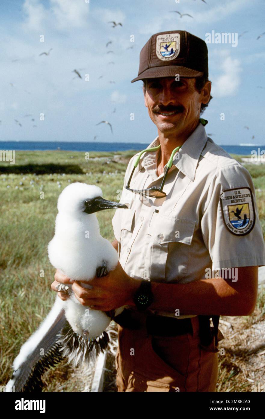 Johnston atoll birds hi-res stock photography and images - Alamy