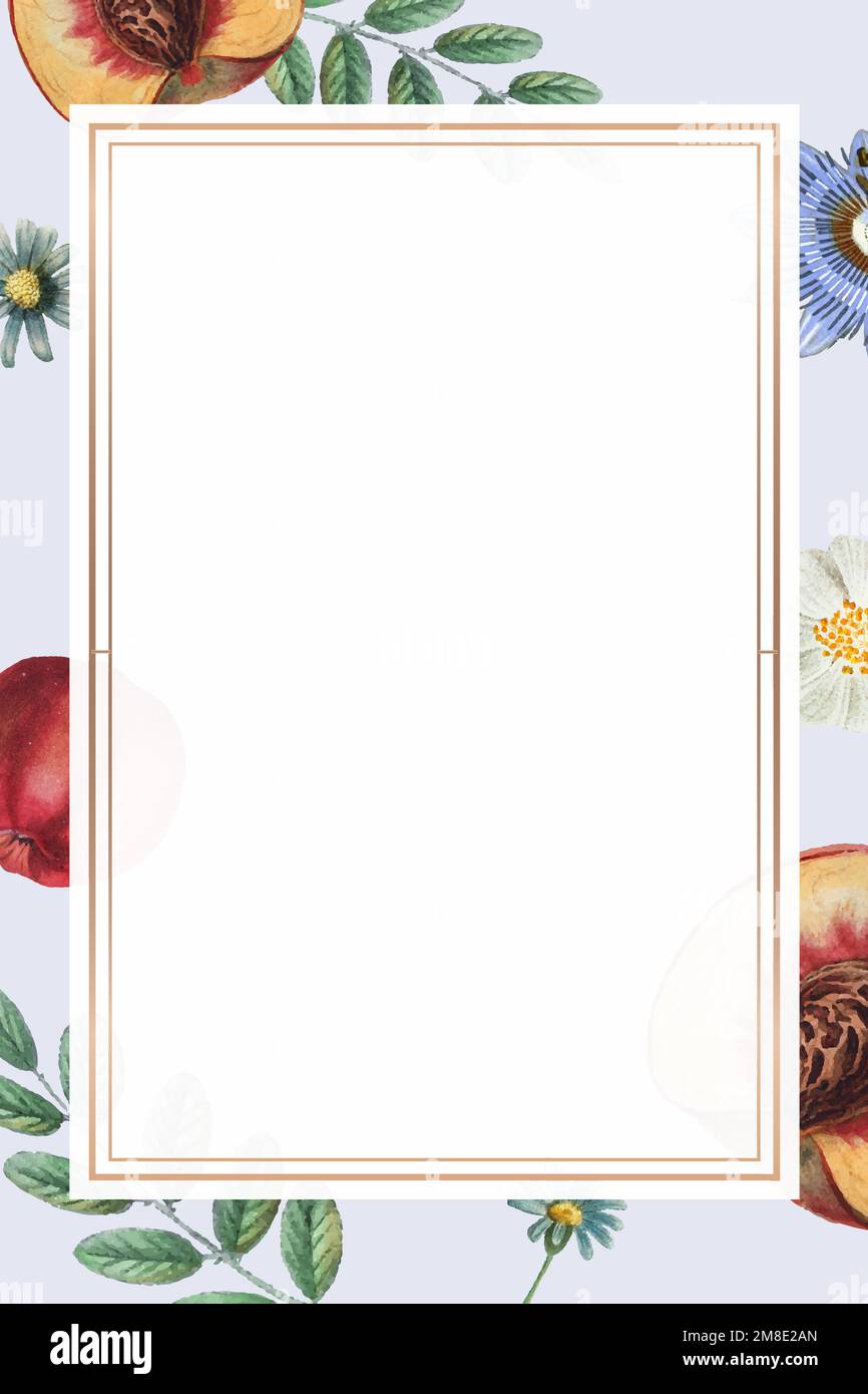 Floral summer frame vector vintage drawing Stock Vector Image & Art - Alamy